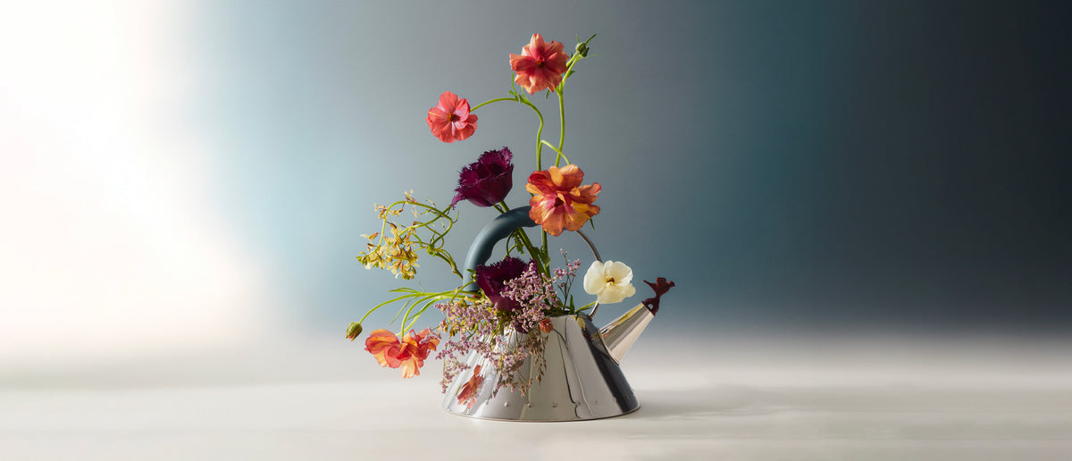 ALESSI USA: Italian Design Home Accessories, Kitchenware & Gifts