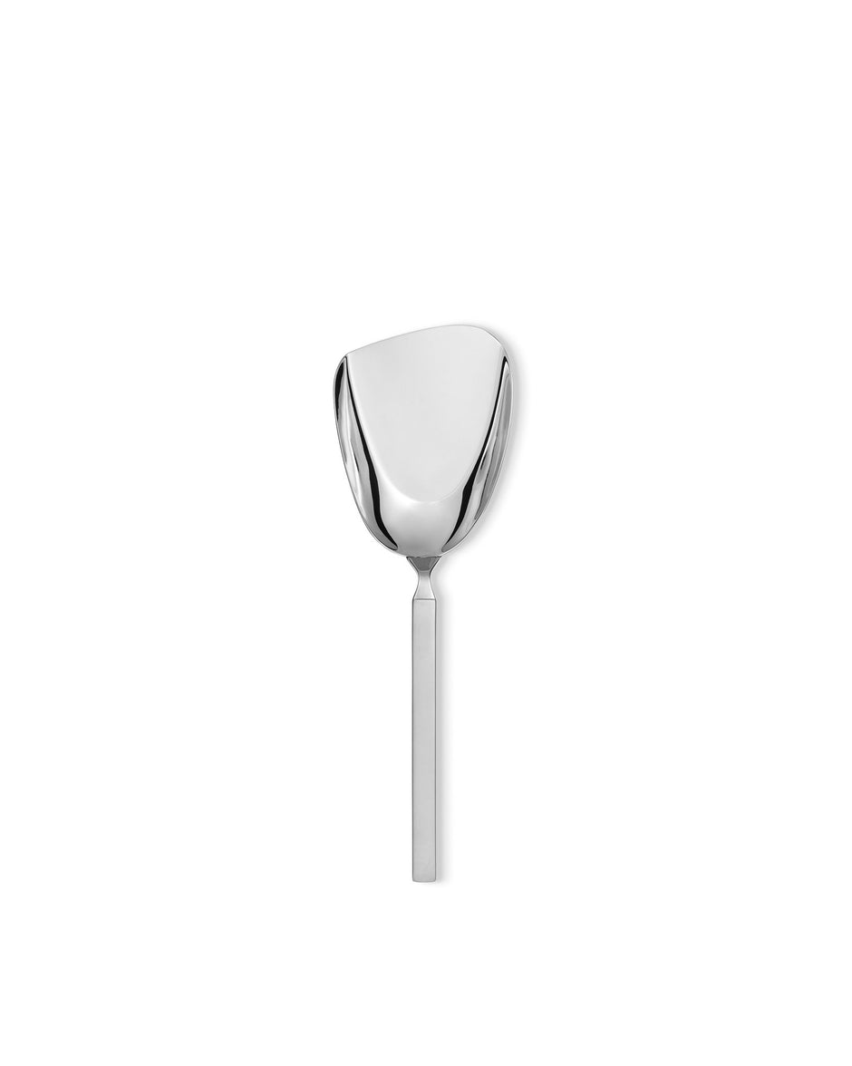 5 Piece Flatware Set - Dry by Achille Castiglioni – Alessi USA Inc